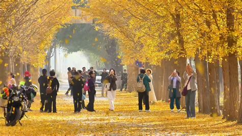 “他意气风发的模样是我一生的信仰”孙悟空｜86版西游记 旧街随凉风 爱 哔哩哔哩视频