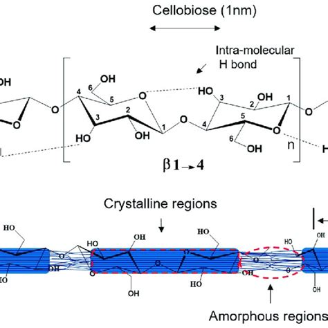 Pdf Cellulose Nanomaterials—binding Properties And Applications A Review