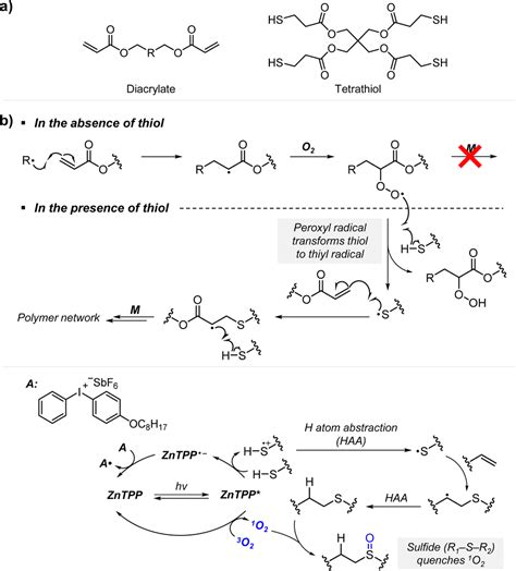 Photocontrolled Raft Polymerization Past Present And Future