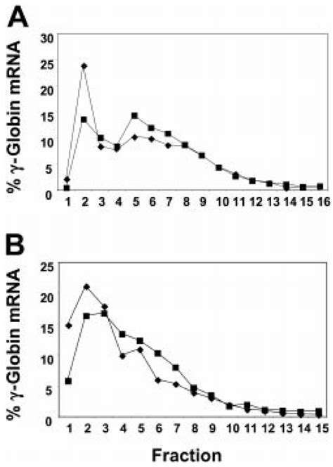 Alteration In The Polysomal Distribution Of γ Globin Mrna In Download Scientific Diagram