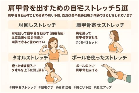 肩甲骨 出し方｜自宅でできる簡単ストレッチと効果・注意点 札幌市東区の整体なら「足うら屋」