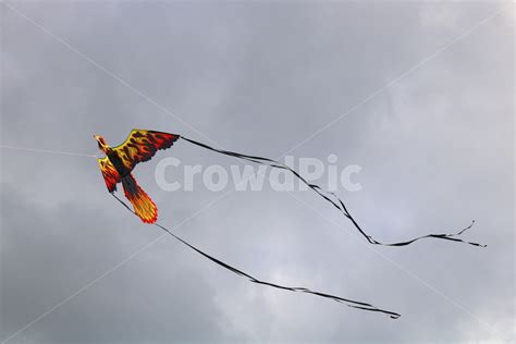 연 연날리기 민속놀이 전통놀이 놀이 사진 이미지 일러스트 캘리그라피 청랑작가