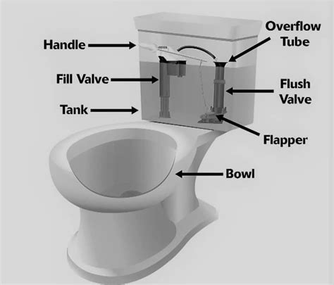 How Often To Replace Toilet Flapper Artofit