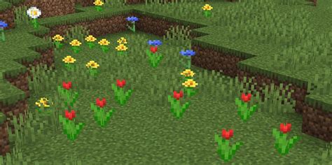 Tulip Colours Minecraft