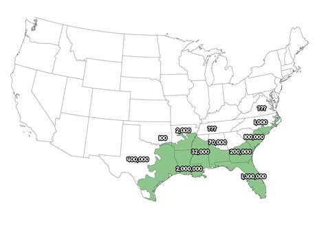 Alligator Populations America Vs China Tidewater Teddy