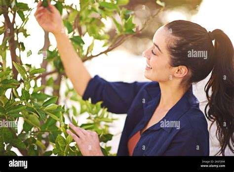 From Little Seeds Grow Mighty Trees A Young Woman Inspecting The