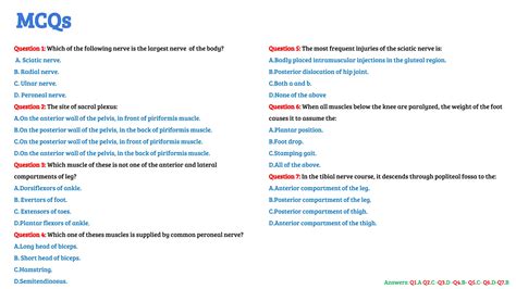 Sciatic Nerve And Its Clinical Correlationspdf