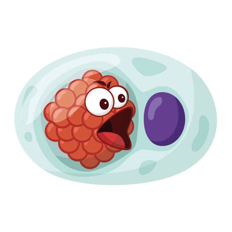160 Chlamydia Stock Illustrations Royalty Free Vector Graphics And Clip