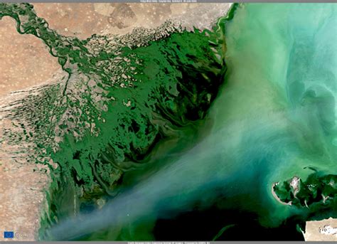 Volga River Delta Copernicus