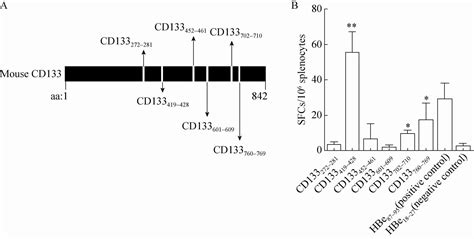 Cd133 Epitope Vaccine With Gp96 As Adjuvant Elicits An Antitumor T Cell