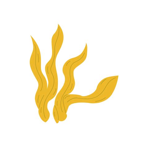 Skincare Benefits Of Brown Algae You Should Know