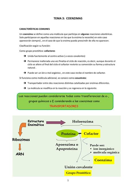 Tema Apuntes Warning TT Undefined Function Warning TT Undefined Function