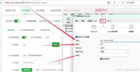 Navicat连接远程服务器数据库navicat远程连接数据库 Csdn博客
