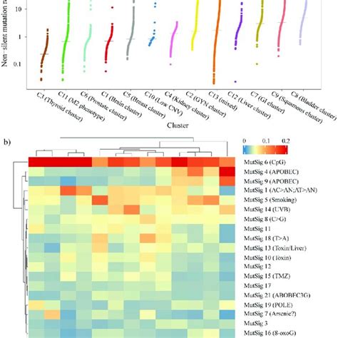 Mutation Analysis Of Ml Clusters A Non Silent Mutation In Each
