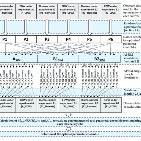 Process Flow Diagram Of Validation Step Two P1 P2 P3 P4 P5 And P6