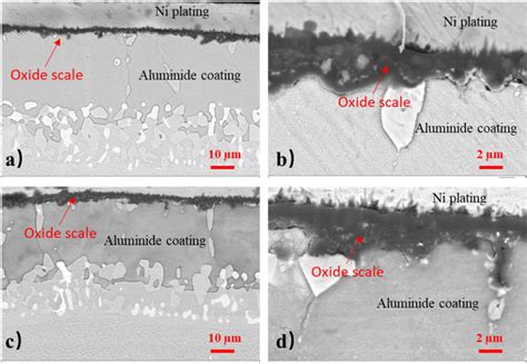 The Cross Section Sem Results Of The Sample Without Any Treatments A Download Scientific