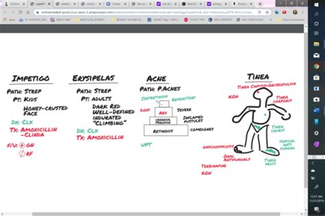 Derm Flashcards Quizlet