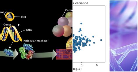 List Genomics Curated By Vanja Miskovic Medium
