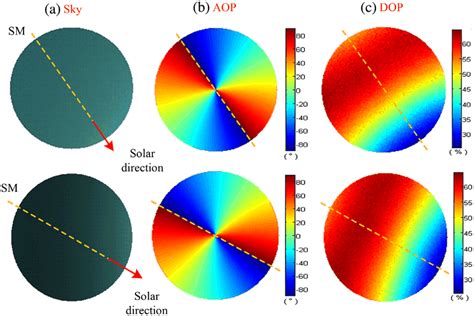 Illustrations Of The Measured Skylight Polarization Patterns A Raw Download Scientific