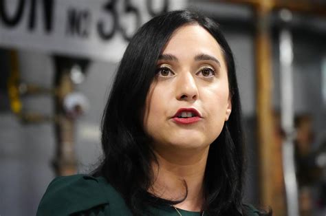 yassamin ansari calls trump tariffs outrageous and misguided on cnn sunday show