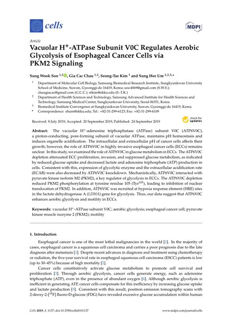 Pdf Vacuolar H Atpase Subunit V0c Regulates Aerobic Glycolysis Of