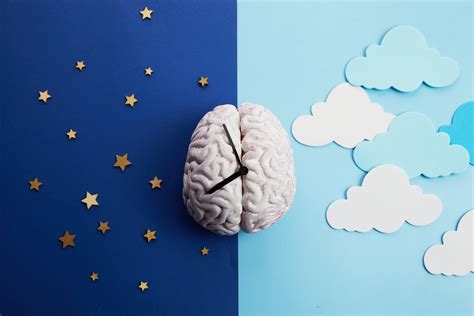 Everything You Need To Know About Sleep Cycles MattressNextDay