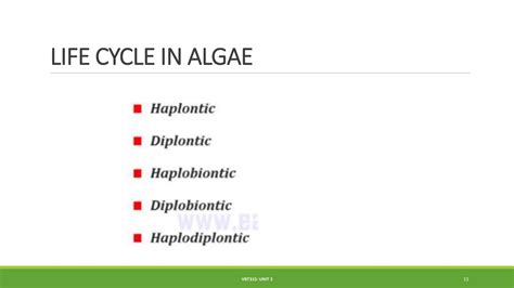 Reproduction And Life Cycle Of Micro And Macro Algae Ppt
