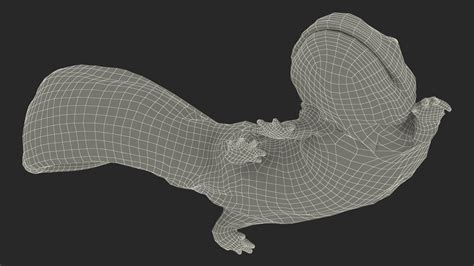 Andrias Davidianus Light Wet Lying 3d Model Turbosquid 2232400