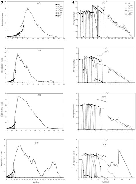 3 Age Specific Reproductive Value V Xj Calculated For N Arcuatus