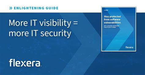 Protect Against Vulnerabilities With IT Visibility Guide