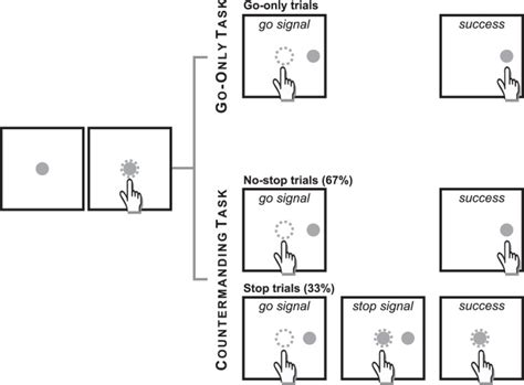 Temporal Sequence Of The Visual Displays For Each Task All Trials Download Scientific Diagram