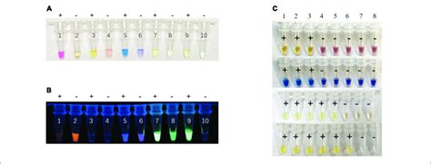 Performance Comparison Of Different Dyes For Visual Lamp Assay A Download Scientific