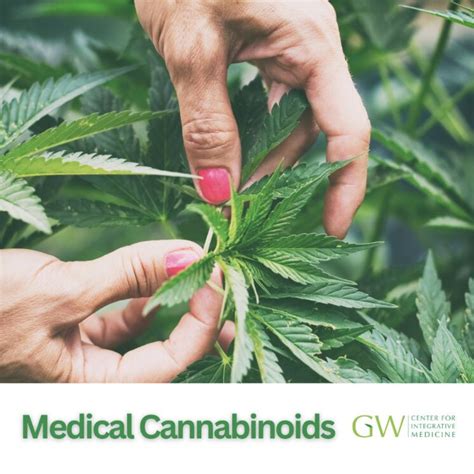 Not Every Cannabinoid Is The Right Fit For Every Person The Doctors At