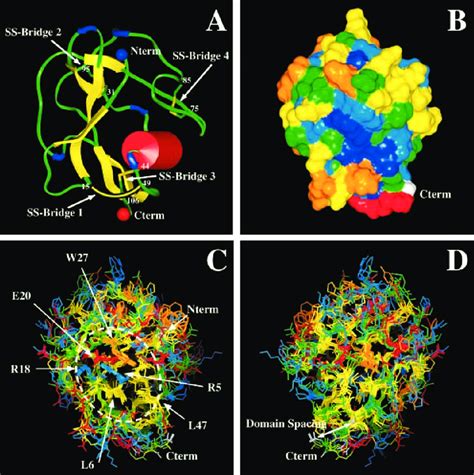 a cartoon representation of the m2bp srcr domain structure red a