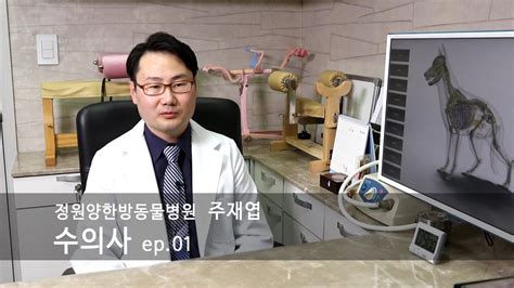 My Dream Jobs Tv 148 수의사 주재엽 Veterinarian Ep01 Youtube