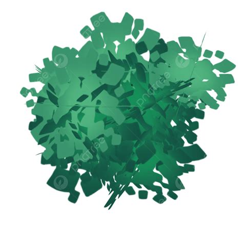 Cartoon Plant Top View Plant Top View Cartoon Plant Top Plant PNG Transparent Clipart Image