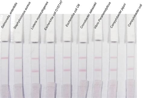 Specificity Of The Immunochromatographic Strip Sensor With The