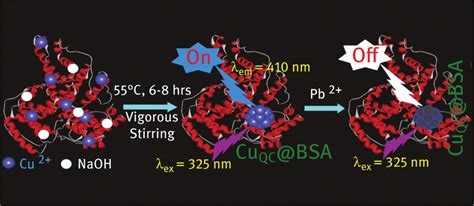Schematic Representation Shows The Formation Of Bsa Templated Cuncs And