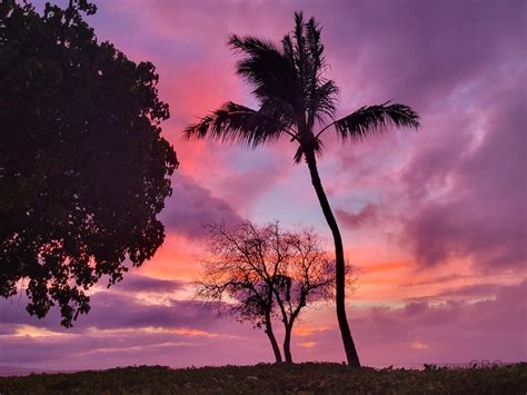 Vibrant Pink And Purple Hawaiian Sunset Wall Art Decor Digital Print