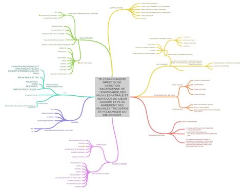Td 2 Endocardite Infectieuse Infection BactÉrienne De Lendocardedes