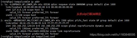 Keepalived出现主备机同时绑定vip的解决方法keepalived正常启动但是主节点和备份服务器都有虚拟ipvip Csdn博客