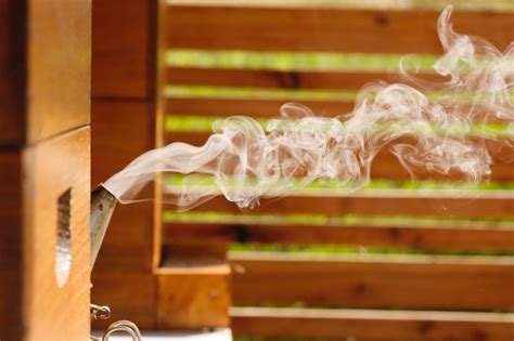 Beehyve Plcnext Iamplcnext Iris Trinoga