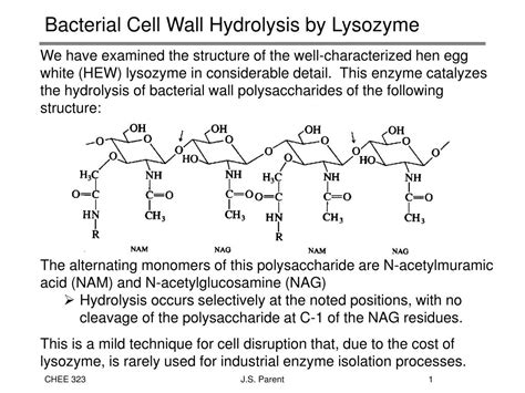 Ppt Bacterial Cell Wall Hydrolysis By Lysozyme Powerpoint