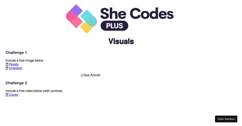 Visuals Challenge Forked Codesandbox