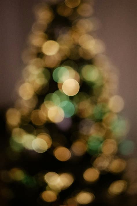 Christmas Border Background Photos Download The Best Free Christmas