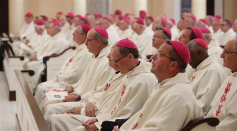 U S Bishops Approve New Guidelines For Pastoral Ministries With Youth
