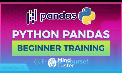 Learn Learn Python Pandas 1 Hour Pandas Course for Beginners - Mind Luster