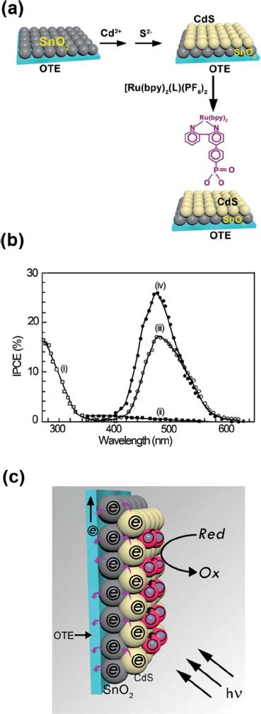 A A Scheme For The Preparation Of Ru Ii Modi Fi Ed Sno 2 Cds