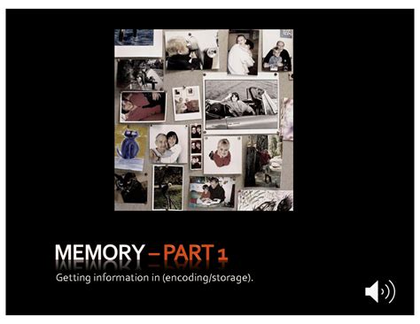 Memory Encoding Storage And Retrieval Exam 2 Review Psy 101