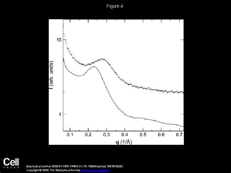 Internal Structure Of Chlorosomes From Browncolored Chlorobium Species